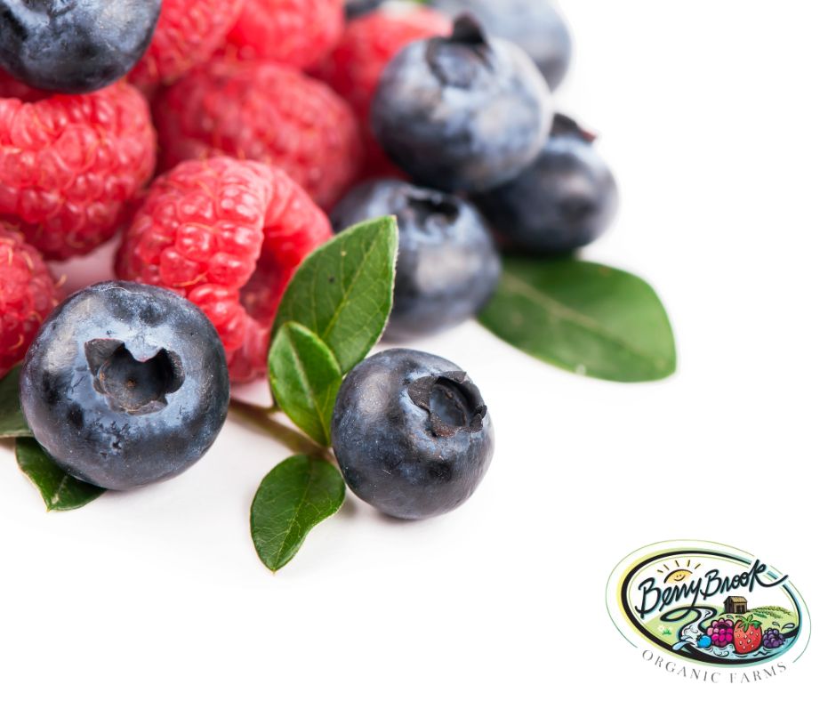 Directfood.store | Local Online Grocery Shopping | Vancouver, Lower ...